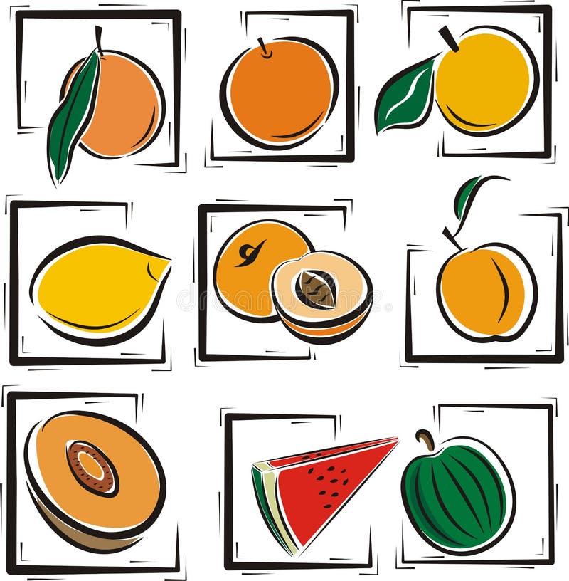 Fruit illustration series stock vector. Illustration of artwork - 3808366