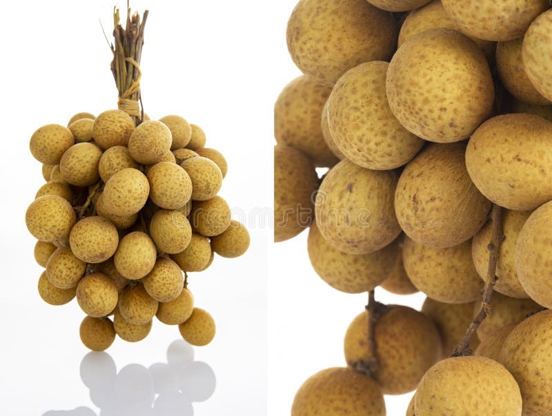 Fruit Kingdom, Taiwan, Summer, Fruit, Dimocarpus Longan Stock Image ...