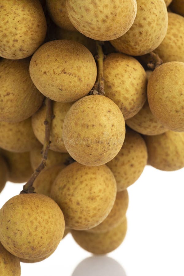 Fruit Kingdom, Taiwan, Summer, Fruit, Dimocarpus Longan Stock Image ...
