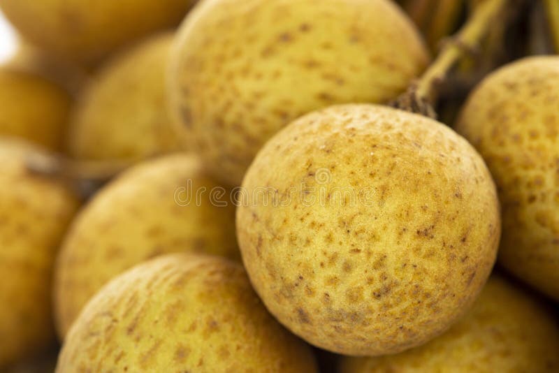 Fruit Kingdom, Taiwan, Summer, Fruit, Dimocarpus Longan Stock Photo ...