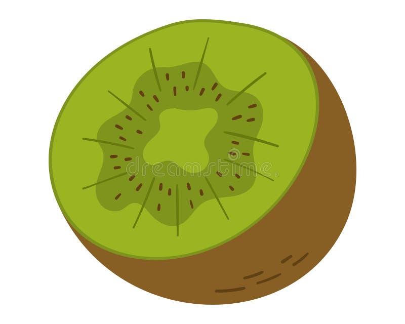 Fruit Kiwi Half in Cartoon Hand Drawn Simple Style. Editable Variable ...