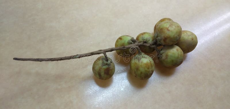 Fruit stock photo. Image of fresh, delicious, kokosan - 200190044