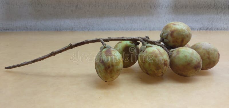 Fruit stock image. Image of fruit, fresh, kokosan, delicius - 200190109