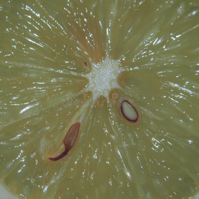 The Fruit of the Lemon in the Cut. the Pulp and Juice Stock Image ...