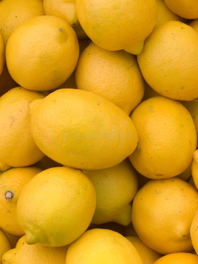 Fruit lemons yellow citron stock photo. Image of plantation - 14420616