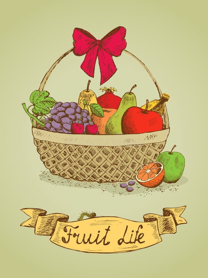 Fruit Life Gift Basket with Bow Emblem Stock Vector - Illustration of ...