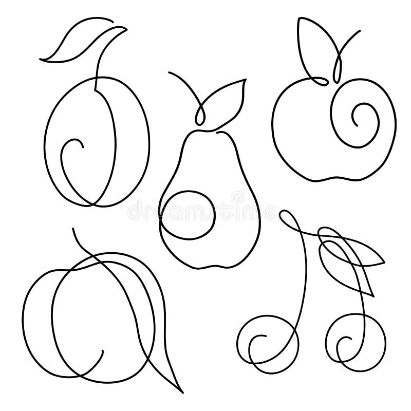 Fruit line drawing stock vector. Illustration of cherry - 199351421