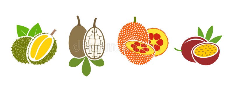 Fruit Logo. Isolated Fruit on White Background Stock Vector ...