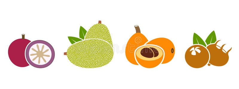 Loquat Logo Stock Illustrations – 128 Loquat Logo Stock Illustrations ...