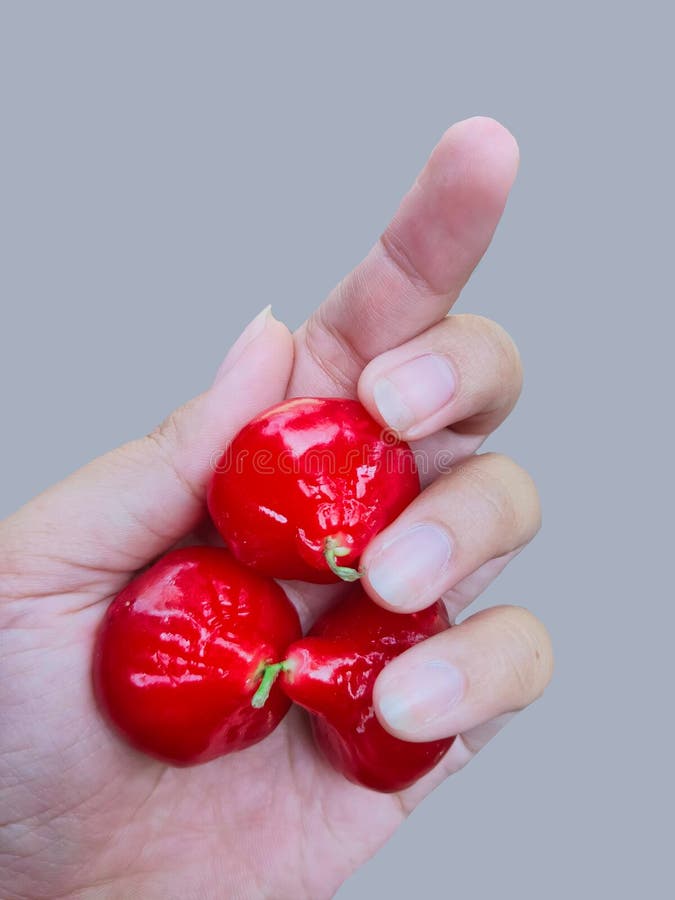 This fruit look so amazing stock photo. Image of gorgeous - 214639446