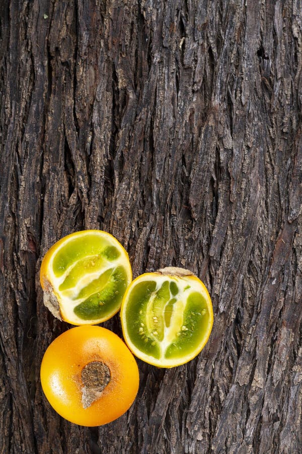 . Fruit of Lulo on Tree Bark (Solanum Quitoense Stock Photo - Image of ...