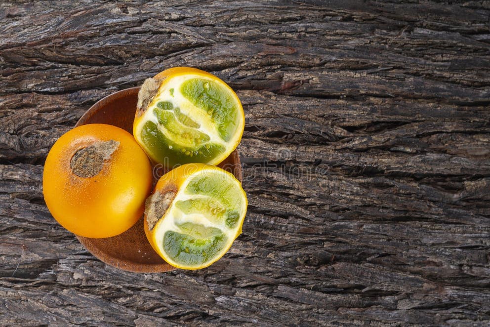 Fruit of lulo on tree bark stock photo. Image of solanum - 141394568