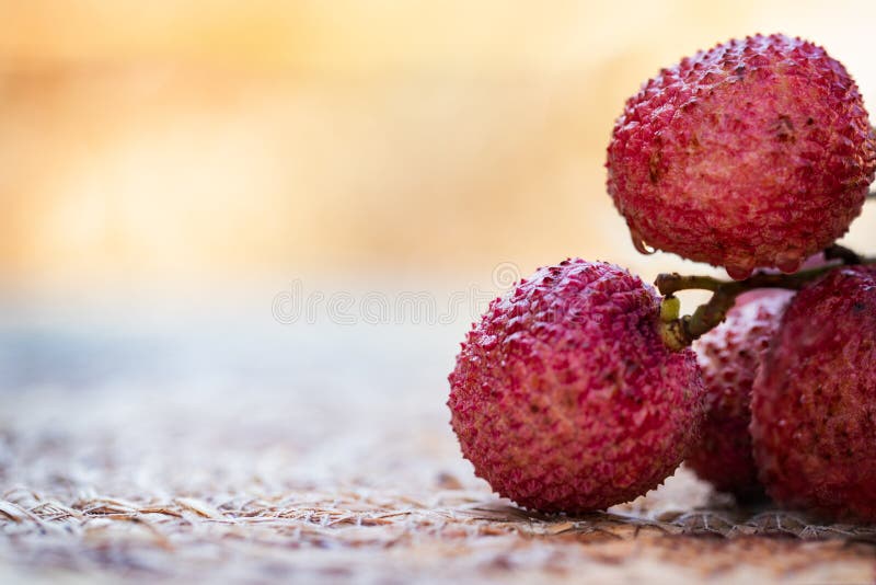 Fruit Lychee Branch with Fruits on the Background Stock Image - Image ...