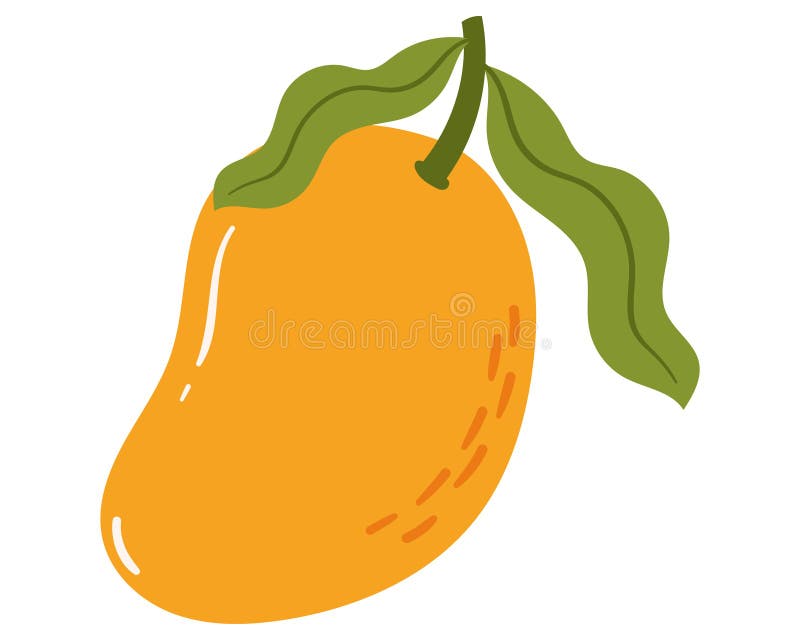 Fruit Mango in Cartoon Hand Drawn Simple Style. Editable Variable Color ...