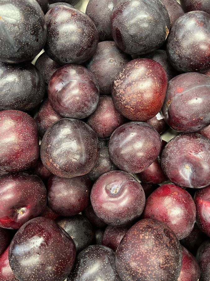 Fruit - stock image. Image of vegetarian, plum, nature - 279143679