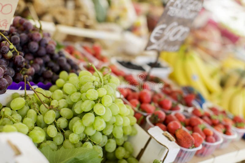 Bundle of Grapes stock photo. Image of tuscany, italy, purchase - 67096