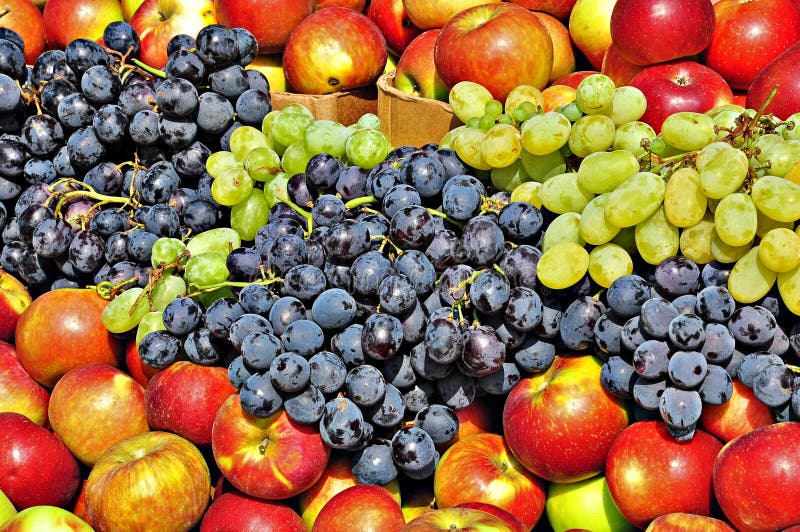 Fruit mix stock photo. Image of fruits, juicy, closeup - 21623990