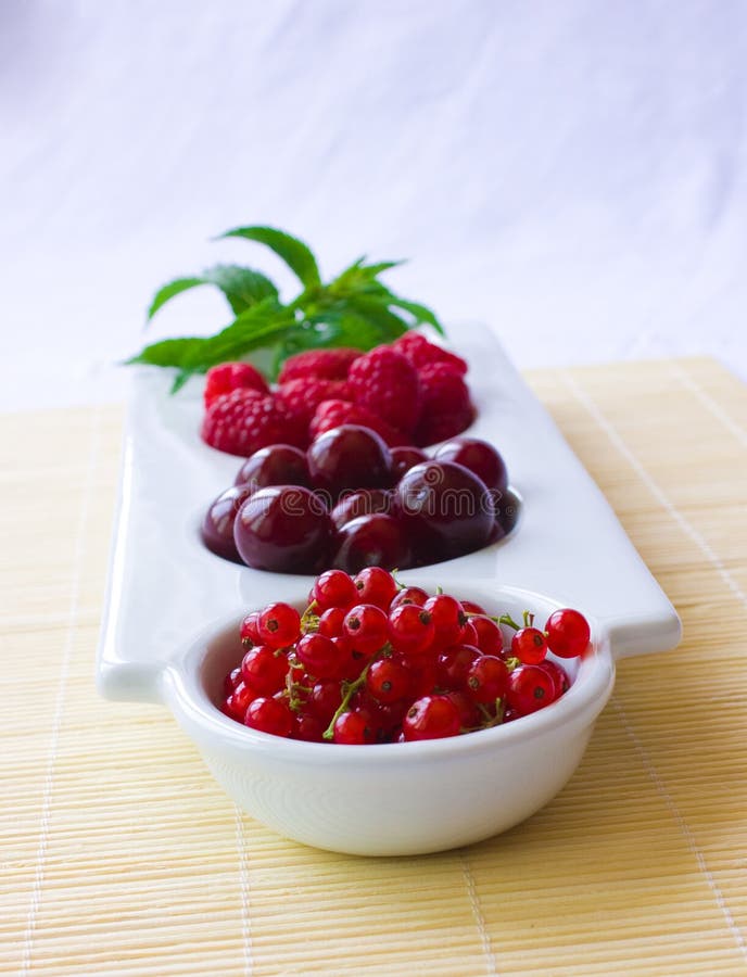 Fruit mix stock photo. Image of snack, servings, summer - 9857212