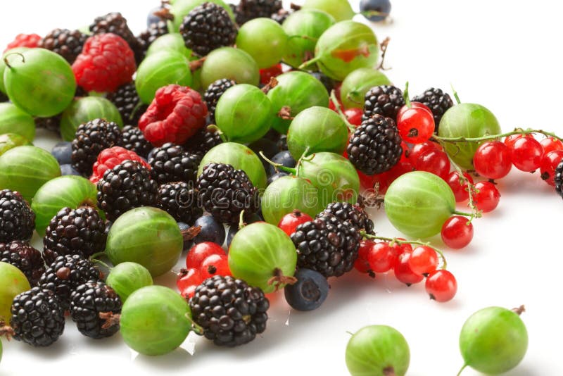 Fruit mix, berry stock image. Image of berry, bramble - 11736629