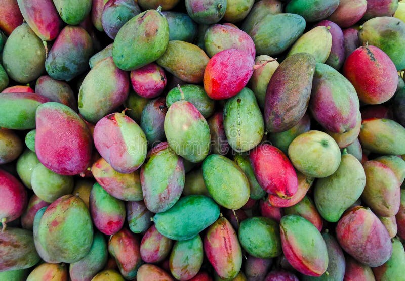 Minggo Stock Photos - Free & Royalty-Free Stock Photos from Dreamstime