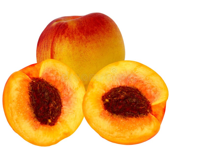Fruit nektarine stock photo. Image of peach, hybrid, season - 11105980