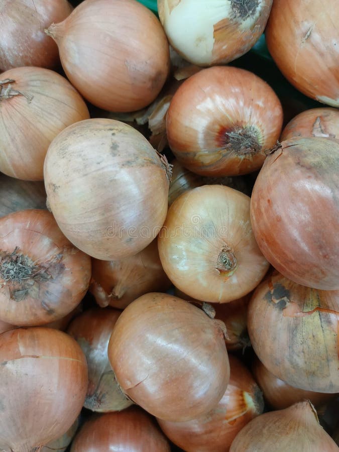 Fruit onion spice food stock photo. Image of flower - 266639142