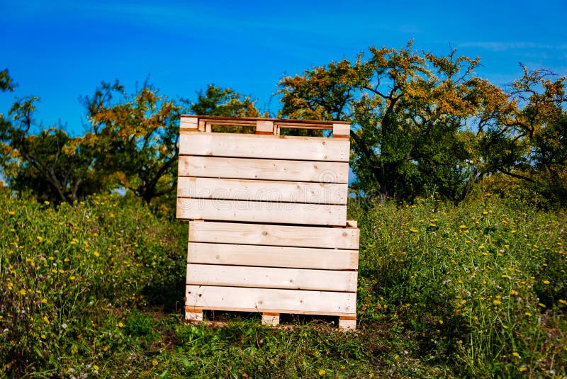 Fruit Orchard, Boxes are Ready for Harvest Stock Photo - Image of ...