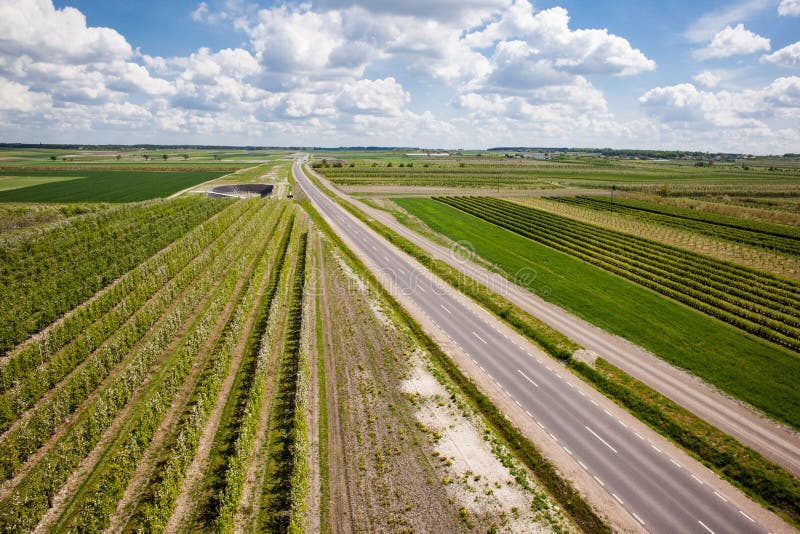 Fruit Orchard , Polish Orchards , Aerial Photo Stock Image - Image of ...