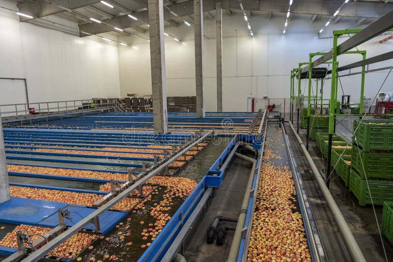 Apple Packing House Stock Photos - Free & Royalty-Free Stock Photos ...