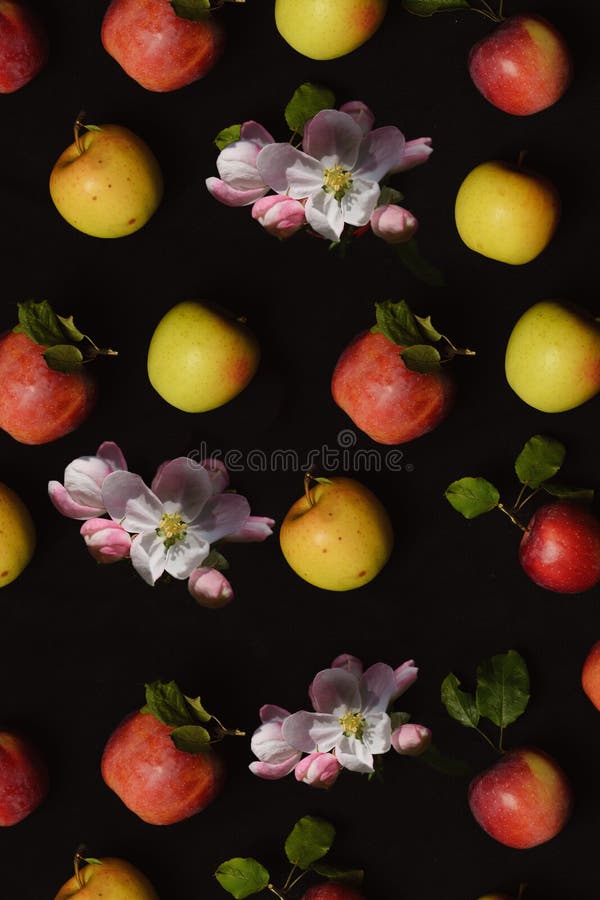 Fruit Pattern from Apples and Flowers Background Stock Image - Image of ...