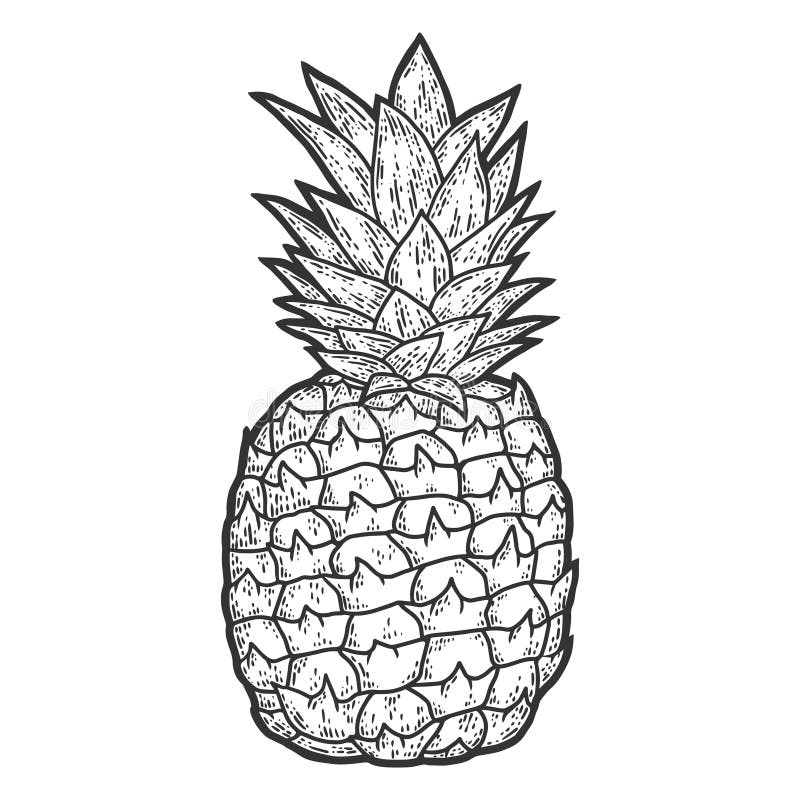 Fruit Pineapple. Sketch Scratch Board Imitation. Black and White Stock ...