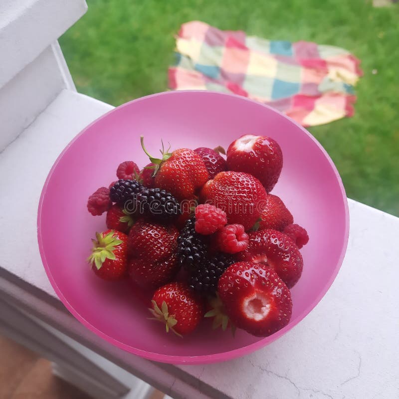 Fruit on a Plate Still Life Stock Image - Image of dessert, plant ...