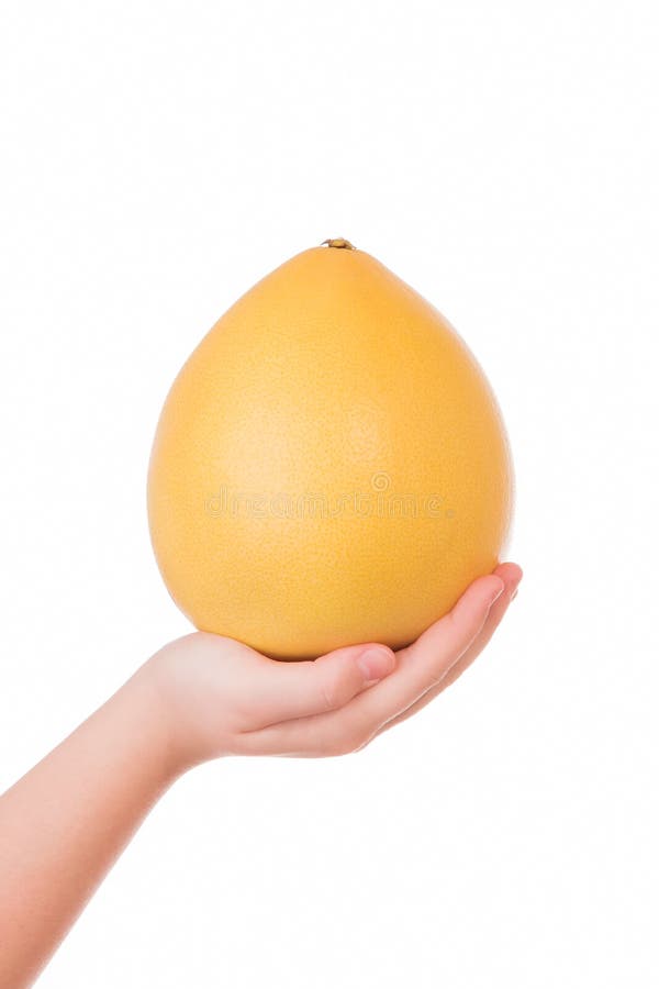 The Fruit of Pomelo in the Hand of a Young Girl Stock Image - Image of ...