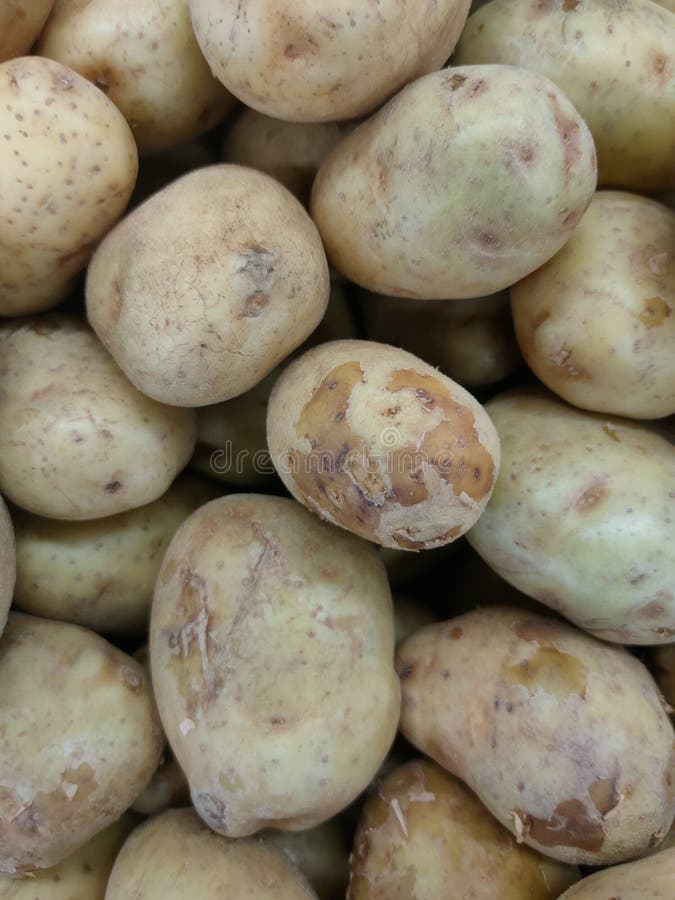 Fruit potato raw nice stock image. Image of produce - 266639115