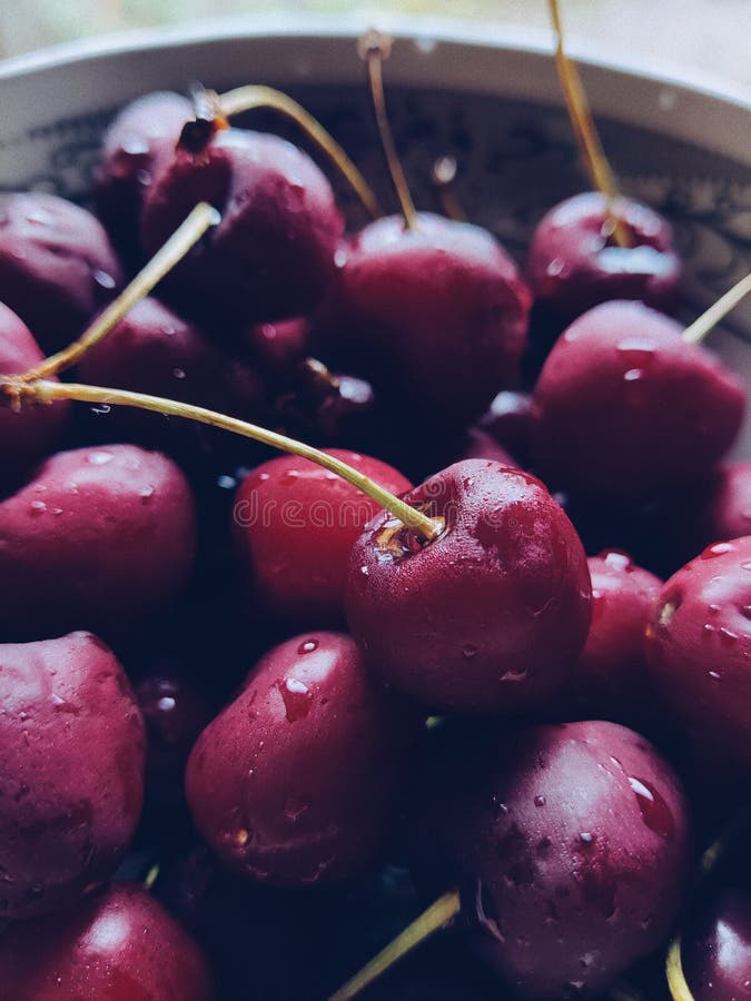 Fruit stock photo. Image of fruit, sweet, plant, strawberry - 250155188