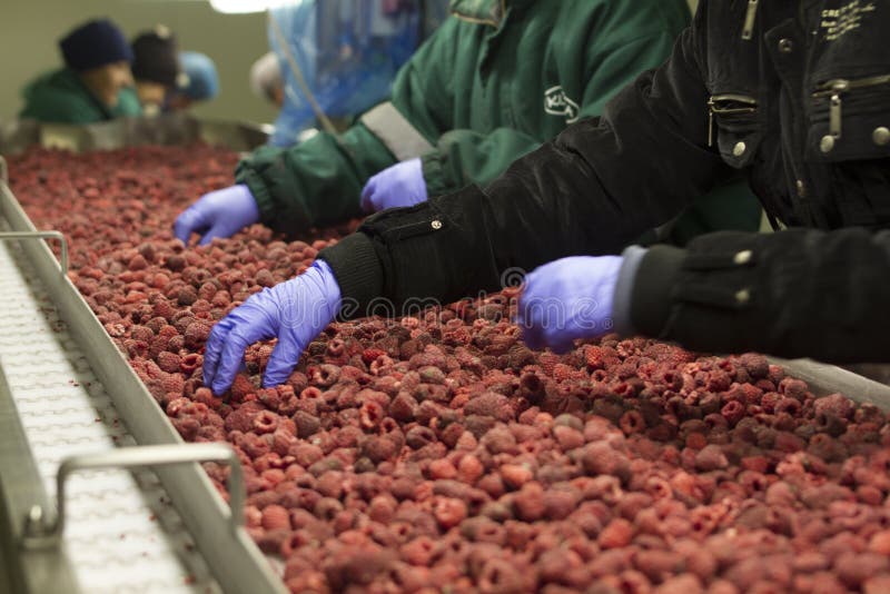 270 Fruits Container Export Stock Photos - Free & Royalty-Free Stock ...