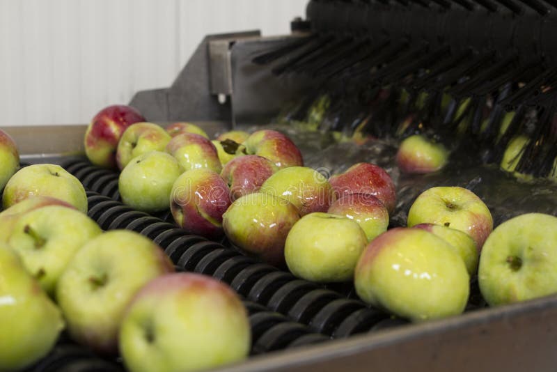 Washing Apples in the Fruit Processing Plant, Close Stock Photo - Image ...