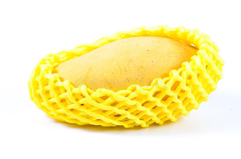 Fruit Protection Foam,mango Stock Photo - Image of tropical ...