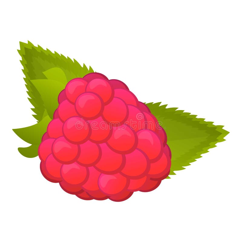 Fruit Raspberry Icon, Cartoon Style Stock Vector - Illustration of food ...