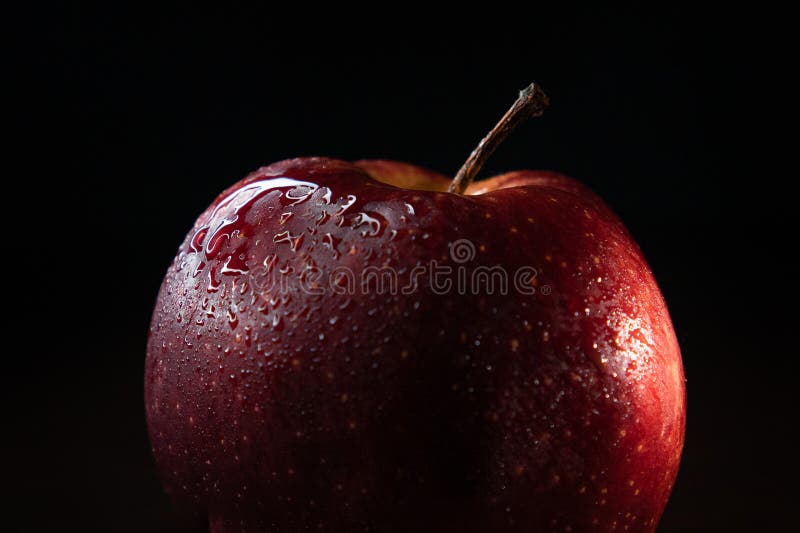Fruit red apple stock photo. Image of nature, freshness - 354740874