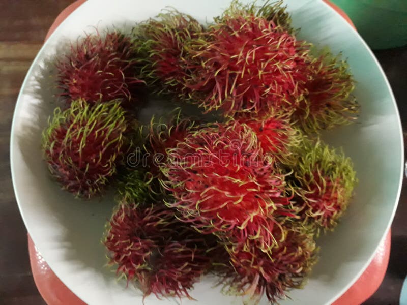 Fruit stock photo. Image of rambutan, orange, fruit - 123203816