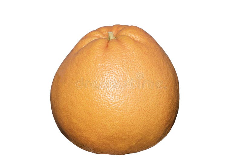 Fruit of Red Rio Grapefruit Stock Photo - Image of nature, isolated ...