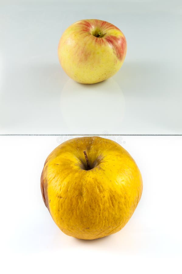 Fruit Reflection in the Mirror Stock Photo - Image of mislead ...
