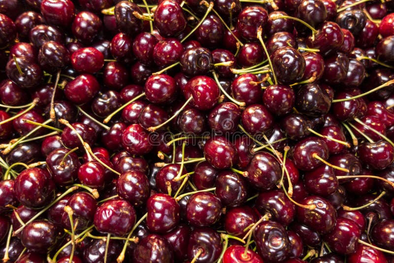 Fruit rouge de cerise photo stock. Image du rose, rouge - 121248890