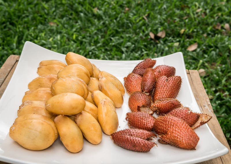 Fruit Salad Fruit Shell Casing Stock Photo - Image of dessert, naming ...