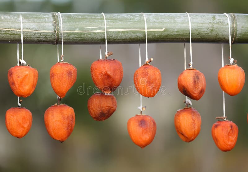 Fruit sec de kaki photo stock. Image du fruits, chinois - 24498116