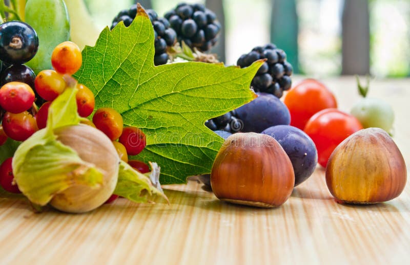 Fruit set stock image. Image of apple, brown, objects - 47257171