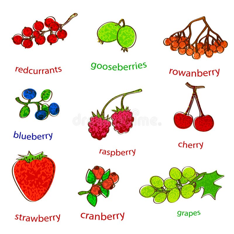 Fruit Set with Texture (vector) Stock Vector - Illustration of banana ...