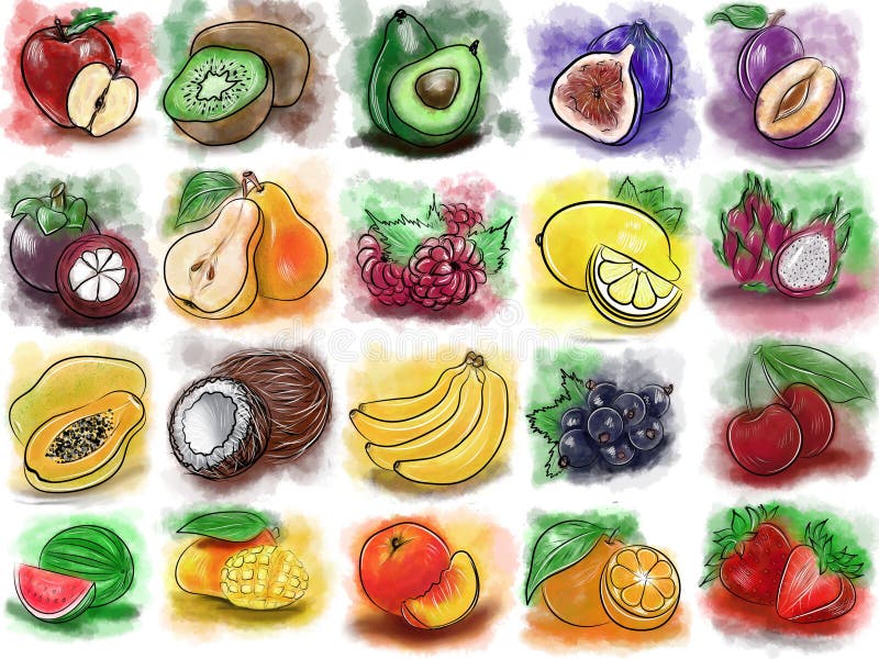 Fruit Set Watercolor Sketch Technique Stock Illustration - Illustration ...