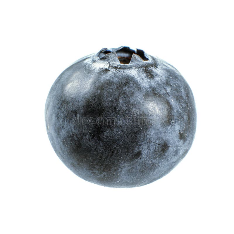 Fruit Simple De Myrtille D'isolement Sur Le Fond Blanc Image stock ...